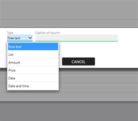 Custom Field Types ERPAG