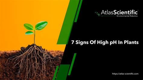 How To Calibrate Your Dissolved Oxygen DO Meter Atlas Scientific