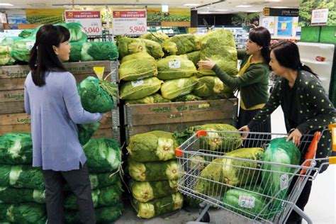 포토 이마트에서 도매가보다 싼 김장 배추 구매하세요 브릿지경제