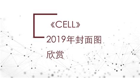 《cell》期刊封面图鉴赏：2019年合集 知乎