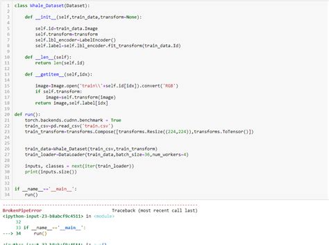 File Gets Executed Multiple Times When Using Numworkers 0 In Torch