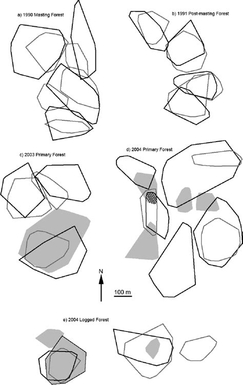 ninety five percent minimum convex polygon home ranges of behavioral
