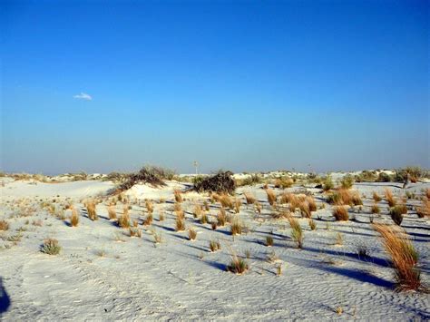 Command Line Coding Companion Github Copilot Cli