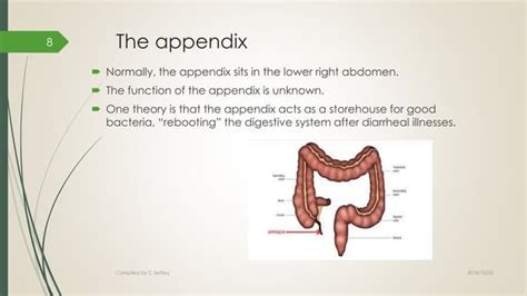Constipation And Appendicitis Ppt