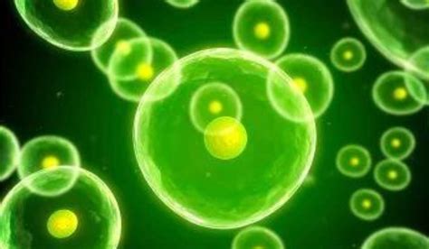 A New Chapter In The Rna Replication Saga Nasa Space News