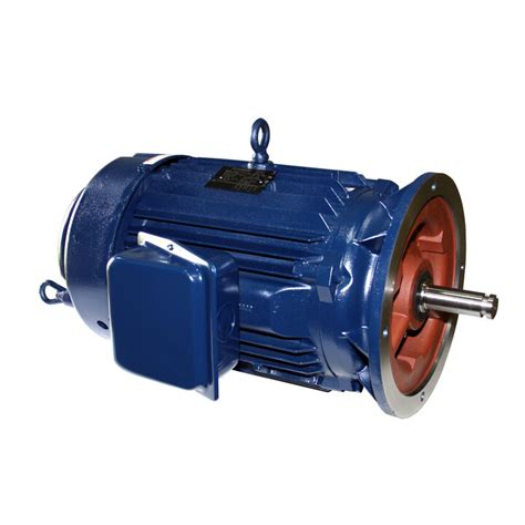 Vertical Pump Motor 3 Hp 3 Ph 60 Hz 230 460 V 1200 Rpm 213hpv Frame Tefc Vertical Pump
