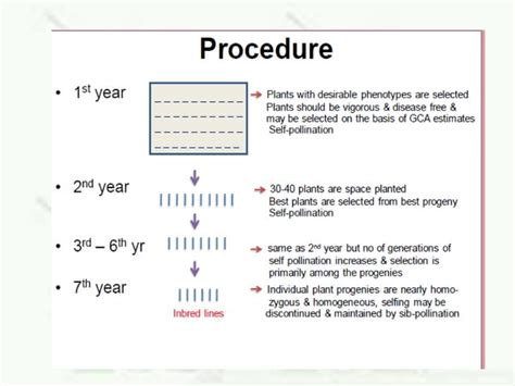 Hybrid Breeding PPTX