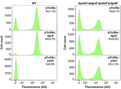 Decoupling Of Curli Gene Expression From C Di Gmp Regulation In The