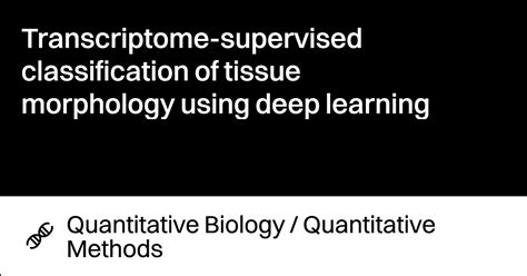 Transcriptome Supervised Classification Of Tissue Morphology Using Deep
