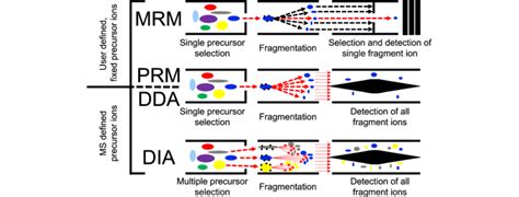 A Cartoon Schematic Of How Peptides Are Isolated Fragmented And Download Scientific Diagram