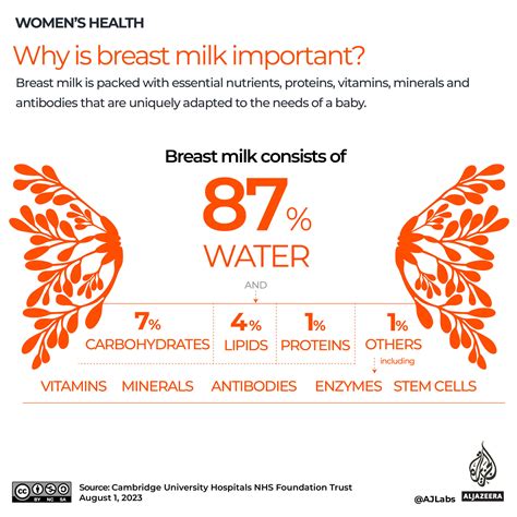 Infographic Breastfeeding Benefits And Challenges