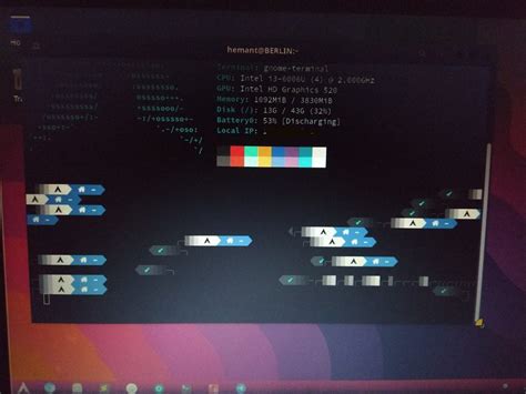 terminal glitch while adjusting width of the window r manjarolinux