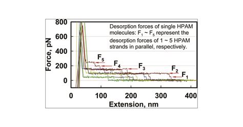 Adhesion Of Single Polyelectrolyte Molecules On Silica Mica And