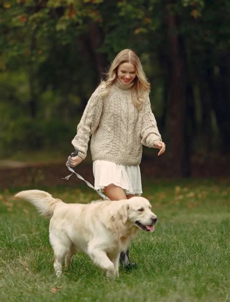 18 Reasons On Why Is My Dog Limping