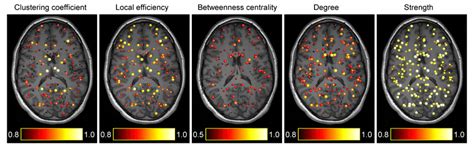 7 Reproducibility Of Node Level Network Properties In Networks Download Scientific Diagram