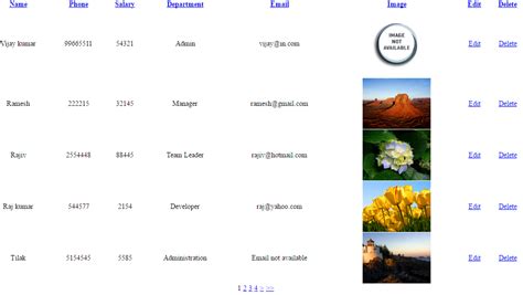 Condition Statement Example On Mvc Webgrid Column Aspmantra Aspnet