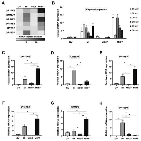 The Patterned Expression Of Selected Olfactory Receptor Genes In Human Download Scientific