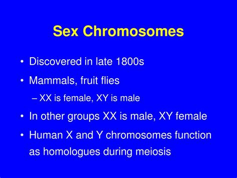 PPT Lecture 8 Genetics And Heritable Disease PowerPoint Presentation ID 266083