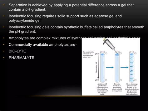Isoelectric Focusing Pptpptx