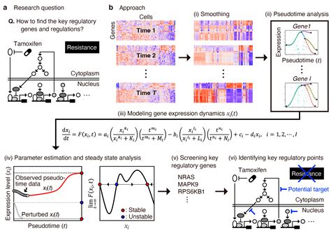 Identifying Key Regulatory Genes In Drug Resistance Acquisition