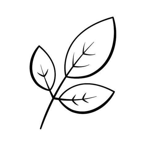 Leaves Clip Art Black And White 10 900 Leaves Clipart Black And White