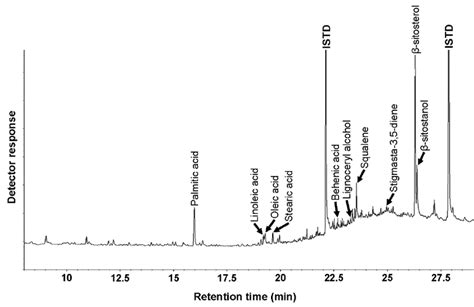 GC FID Chromatogram Of The Cyclohexane Extract Of Red Heart Of Beech Download Scientific