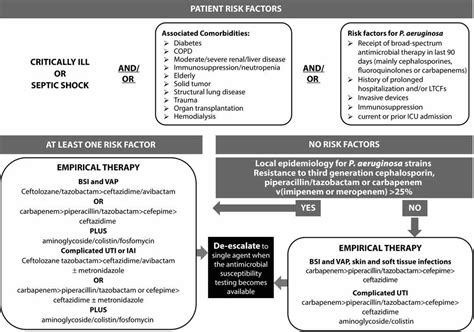 Pseudomonas And Pseudomonas Aeruginosa Infections And Treatment