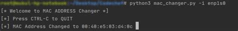 Python Script To Change MAC Address Of Linux Machine GeeksforGeeks