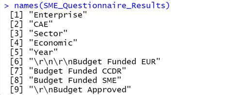R Some Of My Variables Names Are Imported To Rstudio Differently And