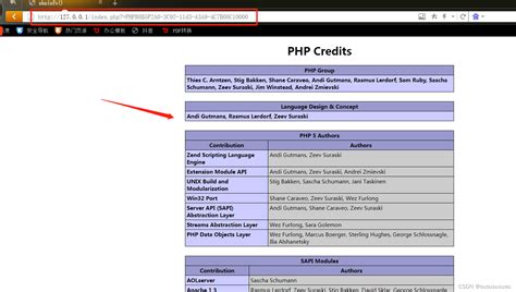 《web服务器php复活节彩蛋信息泄露漏洞》php Easteregg危害 Csdn博客