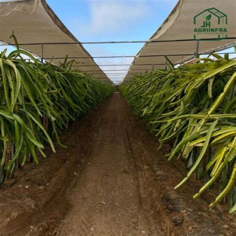 Prefab Trellising System With Shade Netting System At ₹ 400square