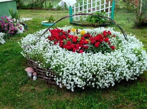 «Посадил и забыл 8 великолепных и неприхотливых цветов для сада Клумбы Цветники Цветник