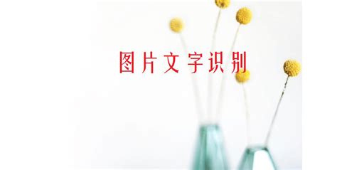 如何简单的实现图片文字识别word文档在线阅读与下载无忧文档