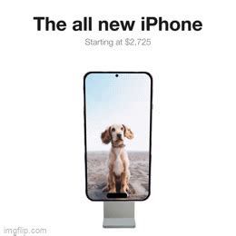Gif Imgflip