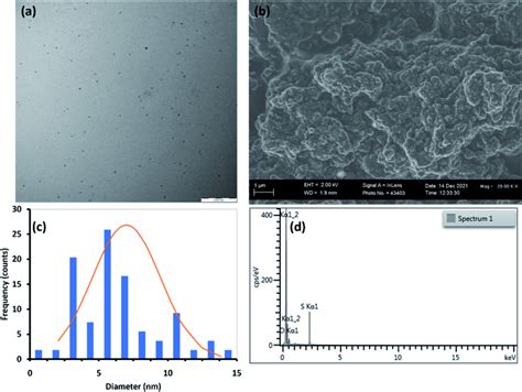 a tem image b sem image c particle size distribution and d