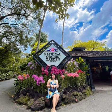 ပိေတာက္ ဖက္ရွင္