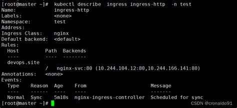 云原生Kubernetes K8S 1 29版本 部署ingress nginx kubernetes 1 29 ingress CSDN博客