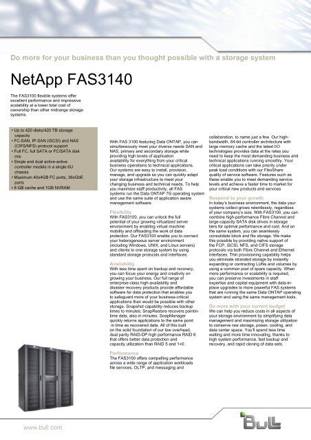 Netapp Fas 3140 Bull