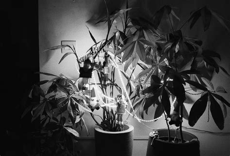 Fiona Chen The Independent Photographer