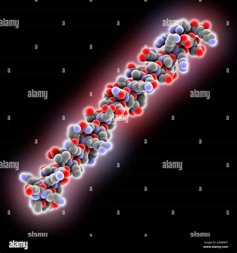 Bacterial Atp Synthase Atpase Stalk Structure Computer Model Showing The Structure Of The B
