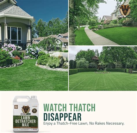 Petratools Liquid Dethatcher Lawn Dethatching India Ubuy
