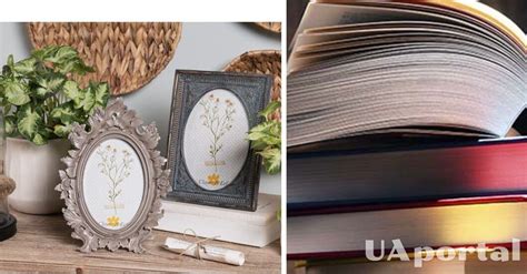 Як зробити дім затишним які речі зроблять інтер‘єр більш стильним поради дизайнерів