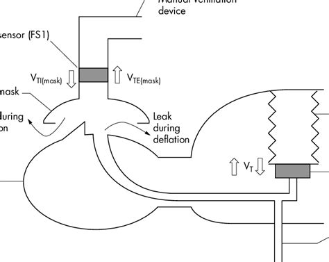 Diagram Of Apparatus Used To Assess Accuracy Of Measurements Made With Download Scientific