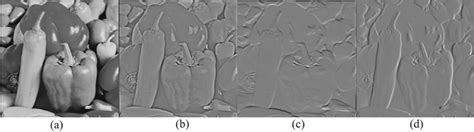 Monogenic Wavelet Transform At The Third Scale From Left To Right A Download Scientific