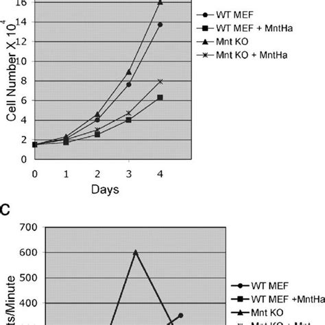 Mnt Max And Myc Max Complex Switching On Shared Target Genes A Download Scientific Diagram
