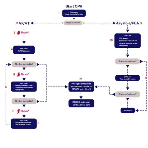 ACLS Cardiac Arrest Algorithm Step By Step Guide