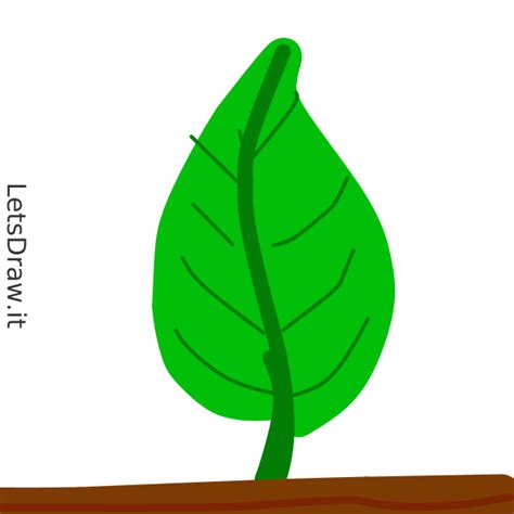 How To Draw Leaf Gx Kzn A Png LetsDrawIt