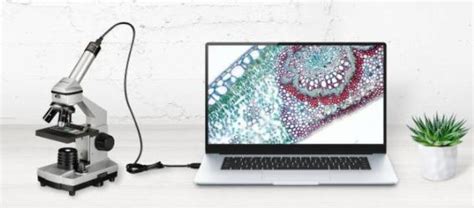 Microscope Numérique Comment ça Fonctionne Comparatif 2024