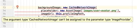 Flutter Default Image Not Loading Stack Overflow