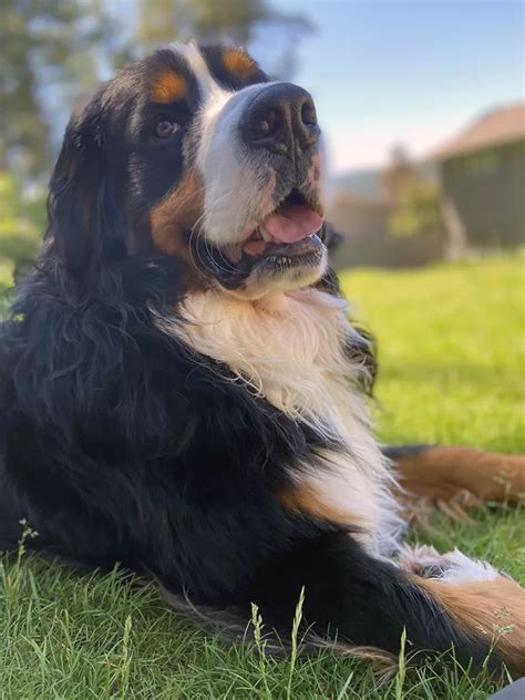 Whats New Strange Borders